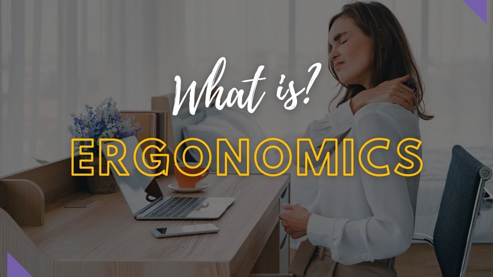 What is Ergonomics? Ergonomics Meaning Debunked | ARTEIL
