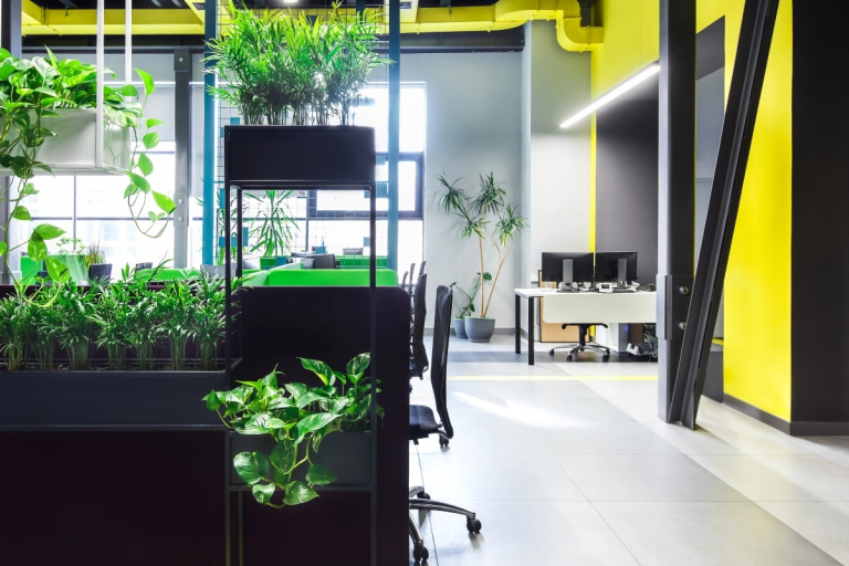 How to Remove Small Flies From Indoor Plants Guide: 7 Easy Fixes